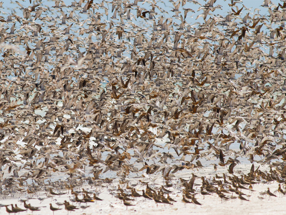 The long way home – Dr Jen Martin